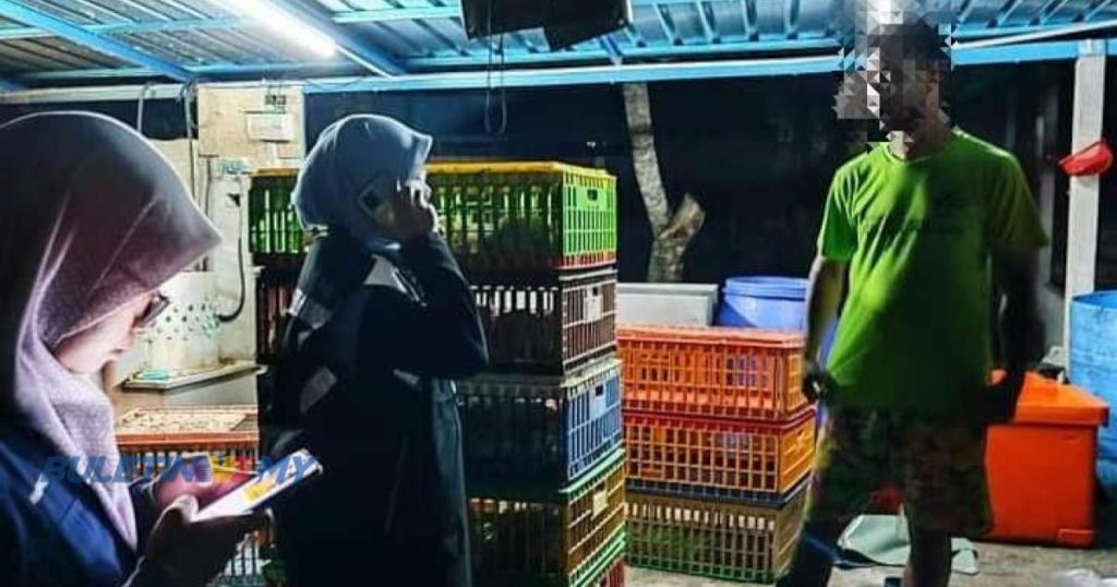 Logo halal palsu, rumah sembelihan ayam diarah tutup | BULETIN TV3 Malaysia