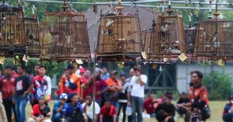 Tak menyesal lebur RM15,000 beli burung merbah | BULETIN TV3 Malaysia