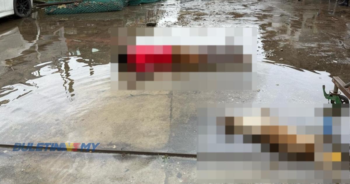 Mayat warga asing ditemui tertiarap, disyaki terkena renjatan elektrik ...