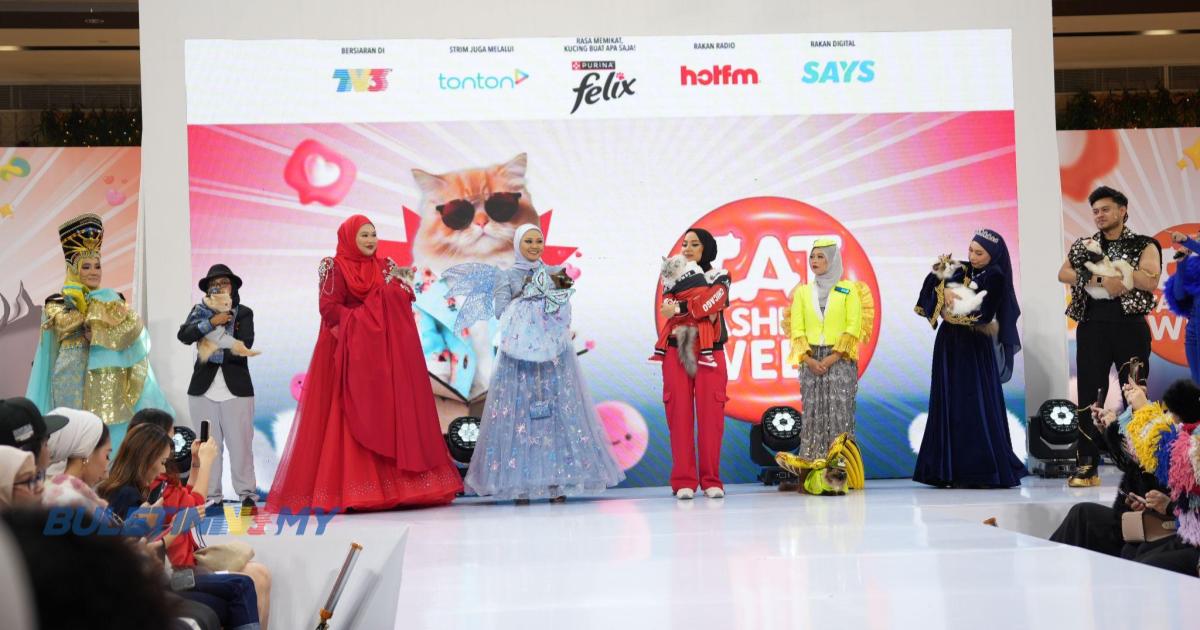 Cat Fashion Week: Kucing paling bergaya bakal dinobatkan Ahad ini ...
