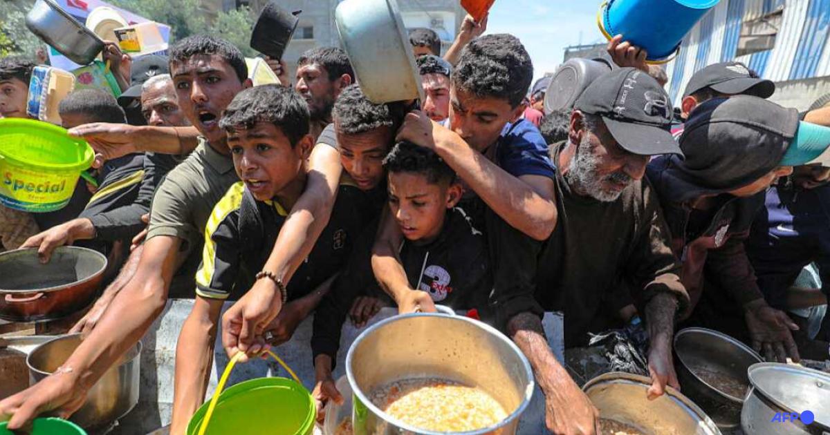 Krisis kebuluran di Gaza ambil masa untuk dipulihkan – PBB | BULETIN ...