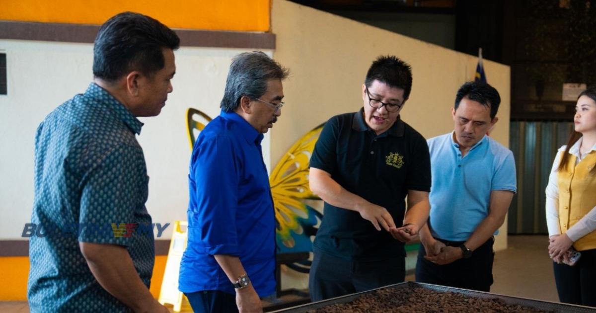 Kerajaan galak peladang tingkat penanaman koko di Sabah – Johari ...