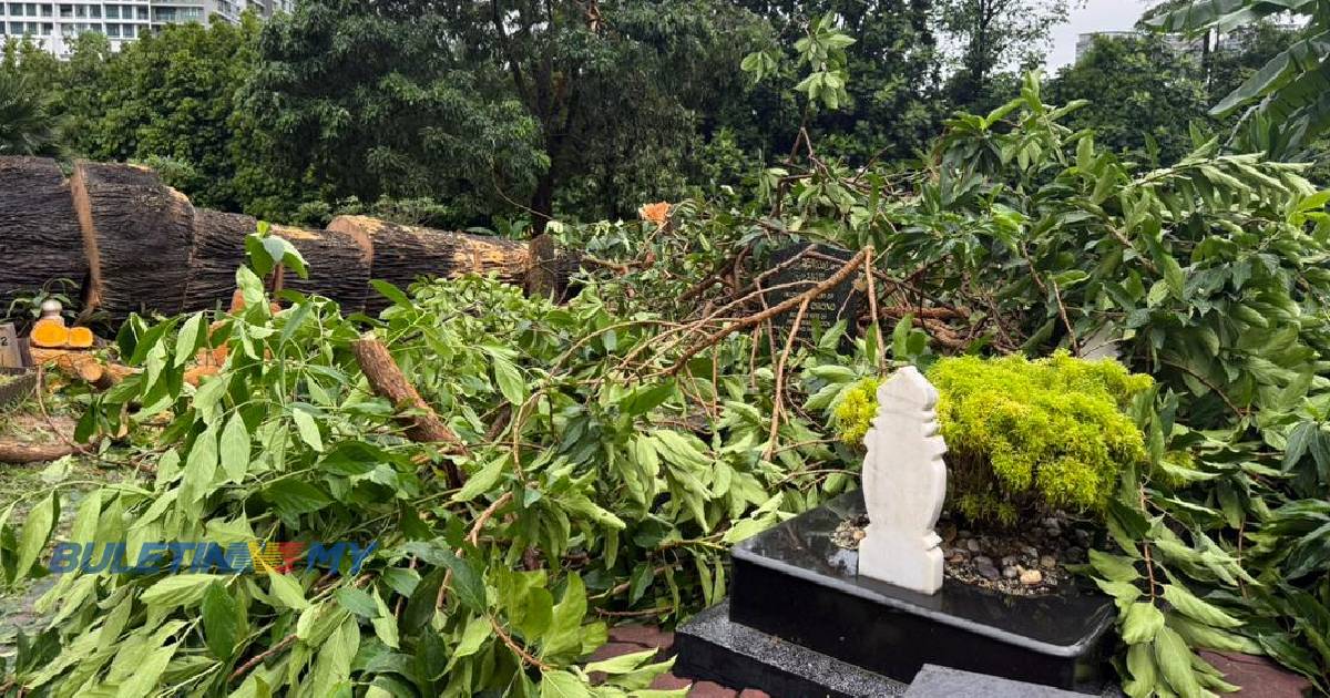 [VIDEO] Insiden pokok tumbang, Tanah Perkuburan Islam Jalan Ampang ...