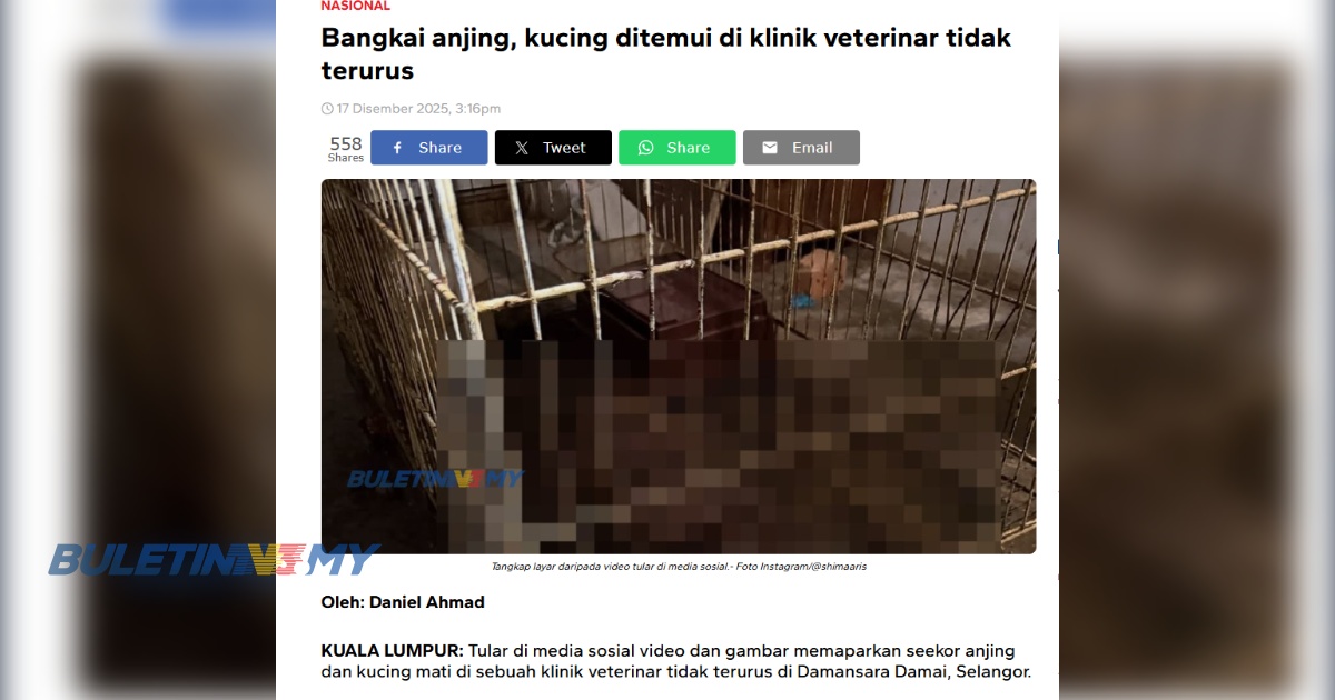Haiwan mati di klinik veterinar: 1,920 aduan diterima, DVS panggil ...